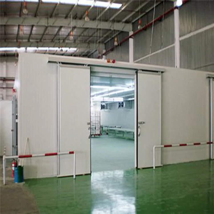 Customized 10/20/40ft Cold Storage Container Walk-in Fast Freezer Cold ...