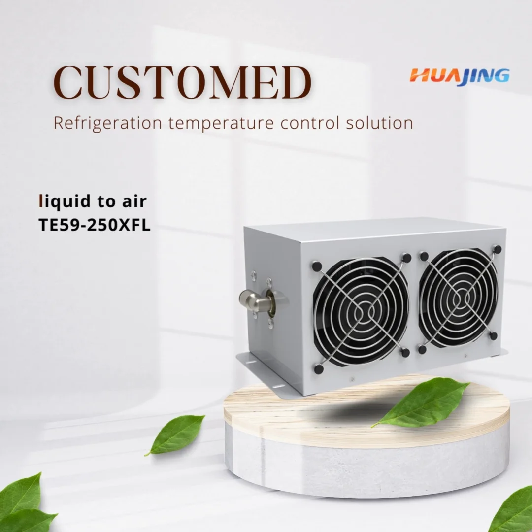 12vdc Cold Room Refrigeration Unit Thermoelectric Peltier Aluminum Fun ...