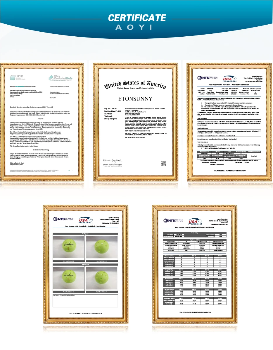 Pick Ball Racket Pick Ball Pickle Racket Board Pickleball Carbon Fiber ...