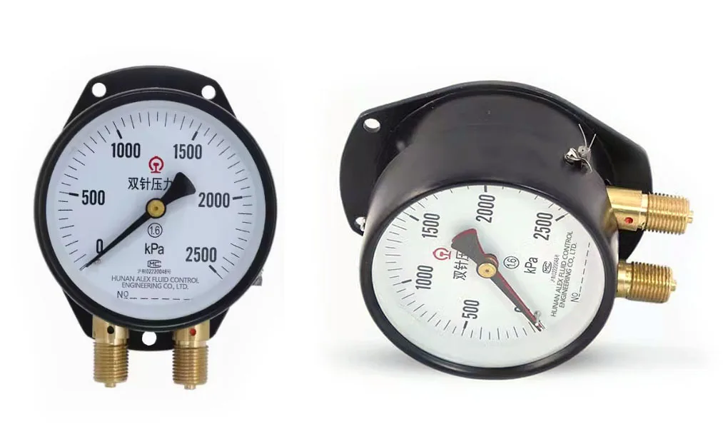 Hydraulic Double Needle Pressure Gauge - Precision for Mining
