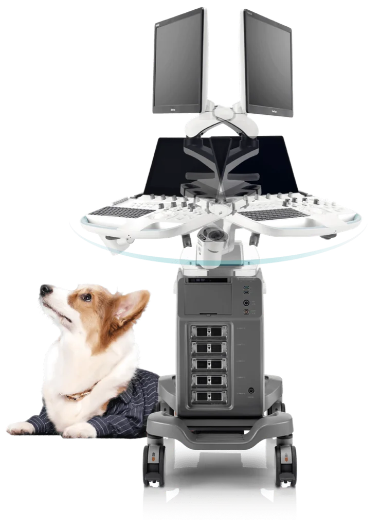 Sonoscape ProPet 70 3D 4D Veterinary Medical Ultrasound Scanner Color ...