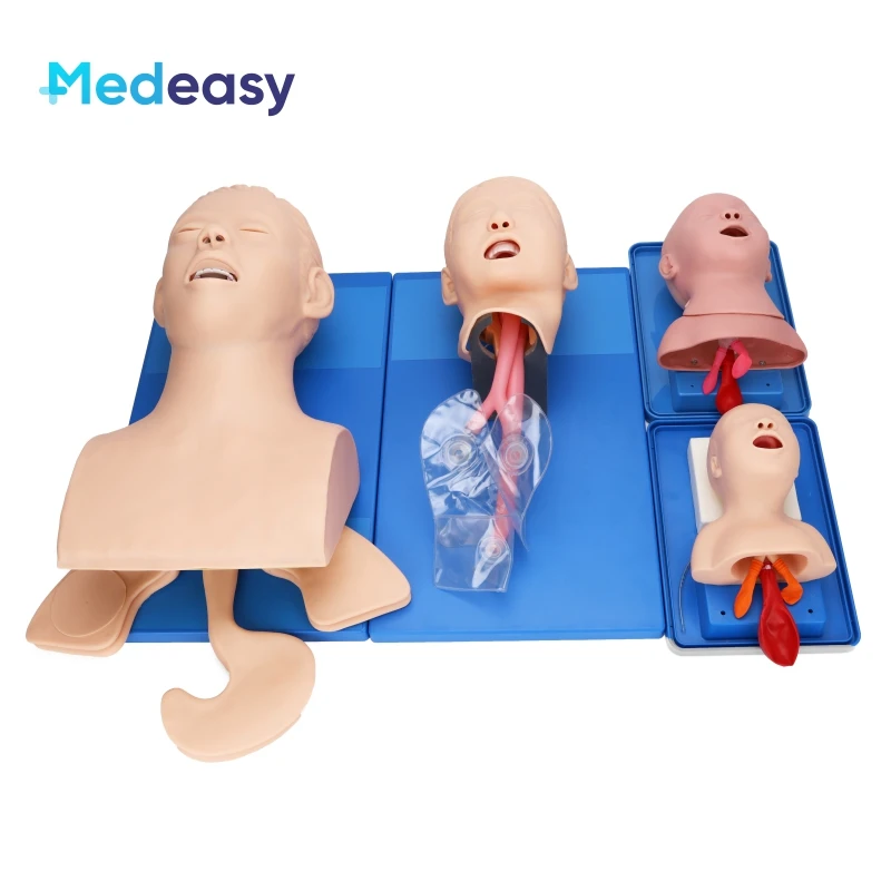 Infant Endotracheal Intubation Training Manikin - Medeasy
