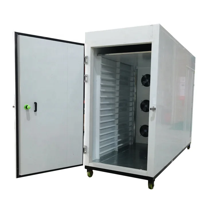 Large Fruit And Vegetable Lemon Dried Strawberry Dry Electric Heating ...