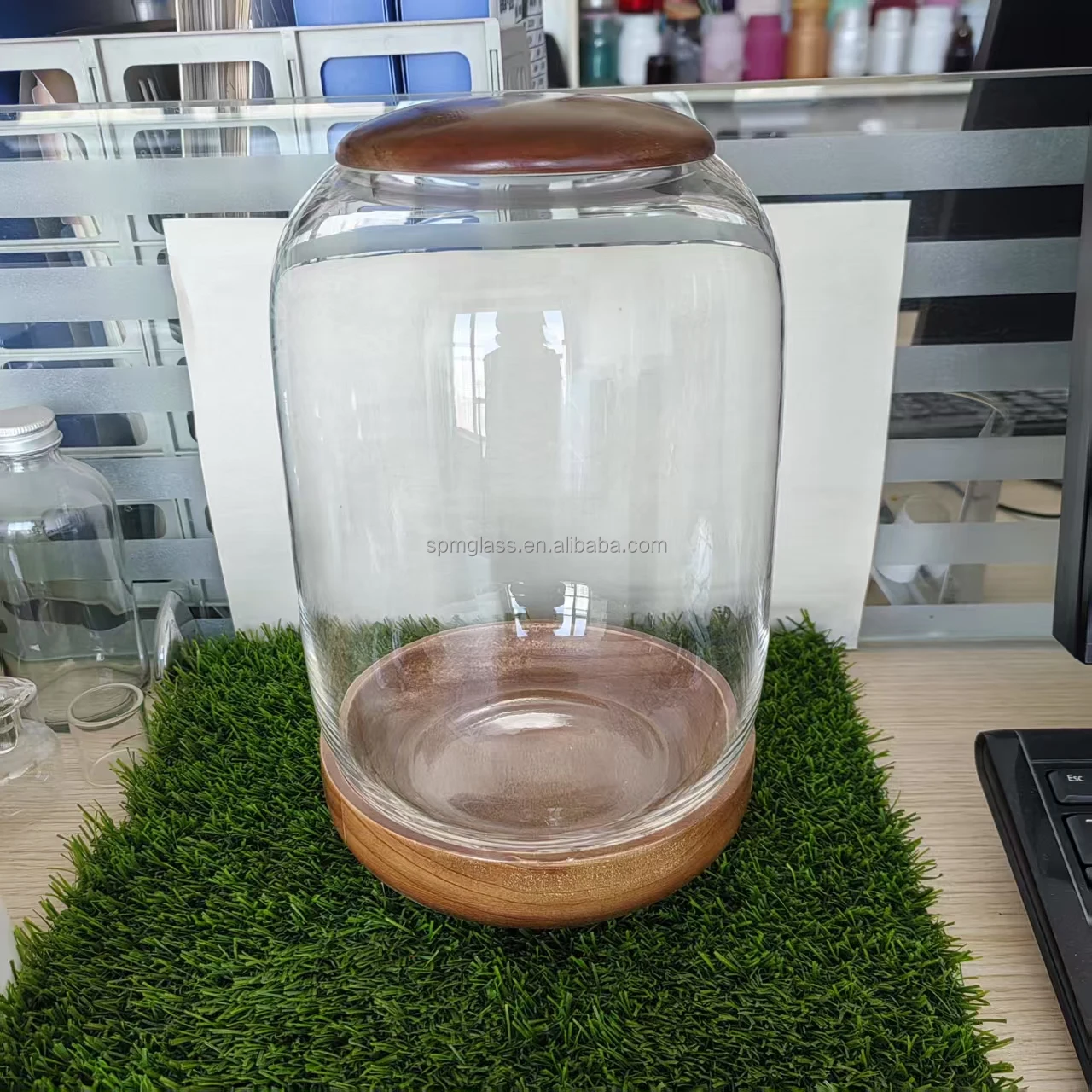 Modern Hydroponic Desktop Indoor Terrarium Glass Vase With Natural Wood ...