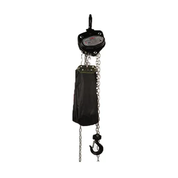 Easy Loading And Unloading 2 Ton Stage Chain Hoist Advanced Lightweight ...