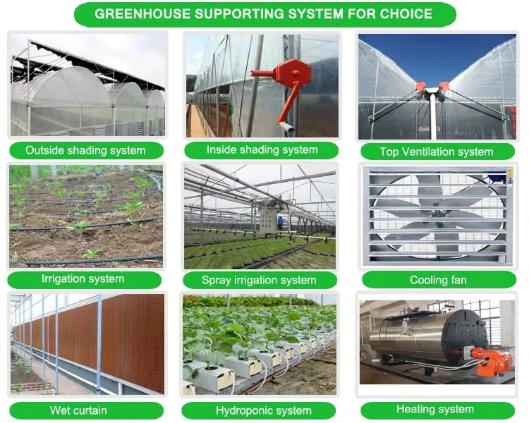 Spray Irrigation Systemgeodesic Dome Sawtooth Greenhouse Hydroponic ...