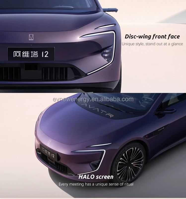 Coche Electrico Avatar 12 Single Motor Dual Motor 4 Door 5 Seat ...