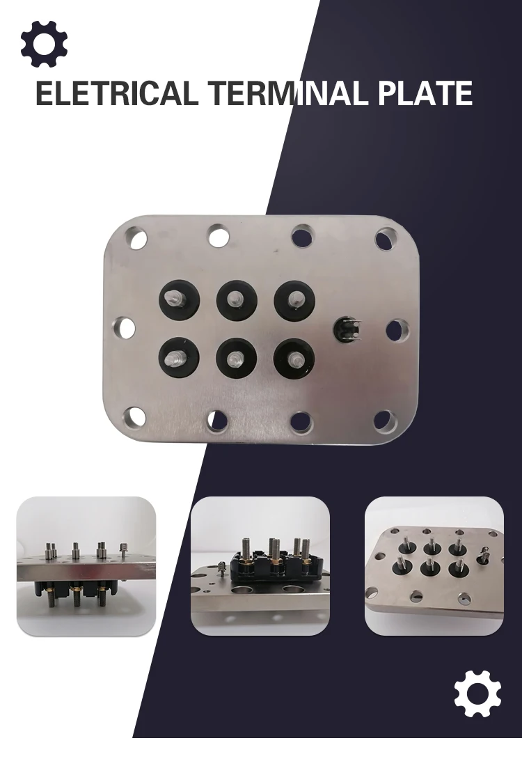 Hot Sale Bltzer Electrical Terminal Plate Terminal Block for Bltzer ...