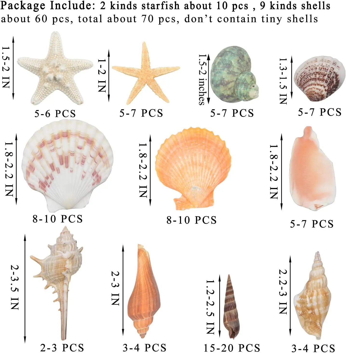 Alibaba.com: Mixed sea shells and 2 kinds of natural starfish, various ...