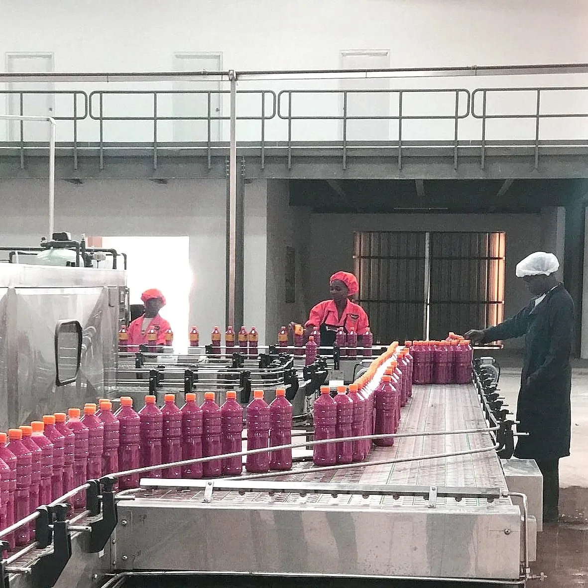 Tomato Concentrate Production Line - Efficient & Automatic