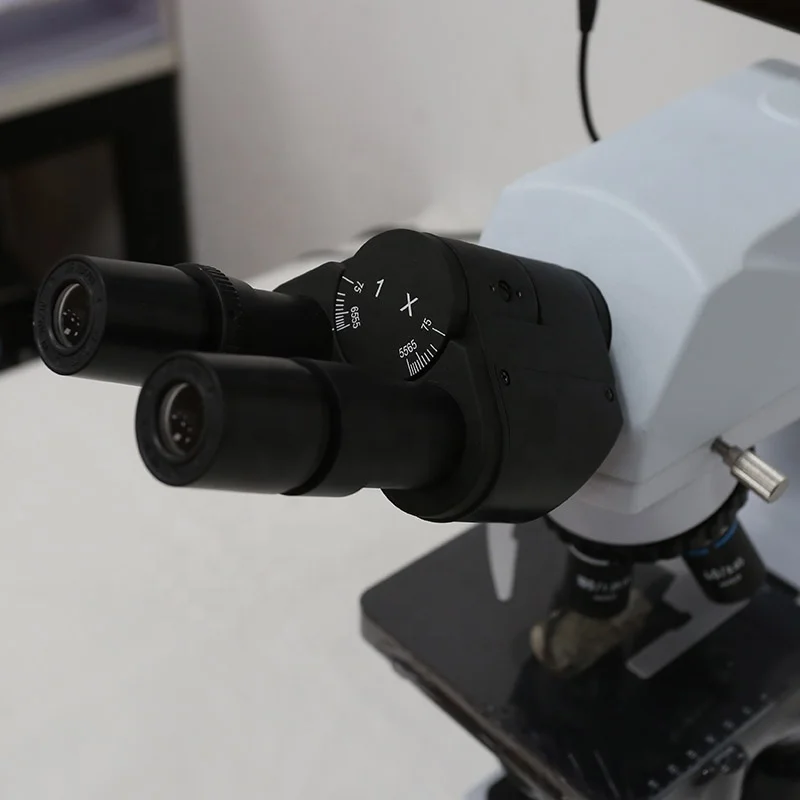 Biobase Biological Microscope Microcirculation Microscope Led Build-in Camera Illumination ...