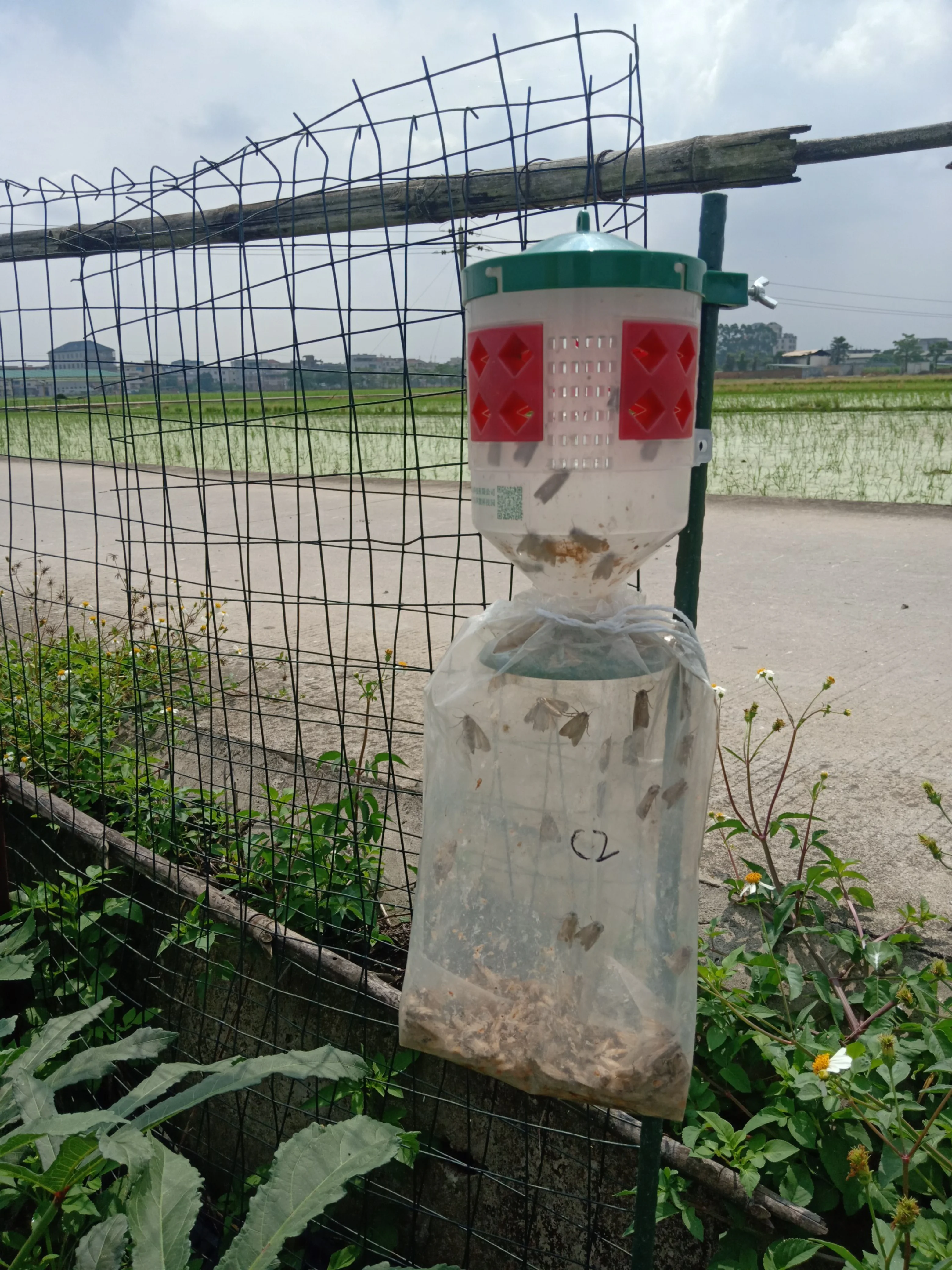 High Quality Vertical Moth Trap Effective Pest Control for Agriculture ...