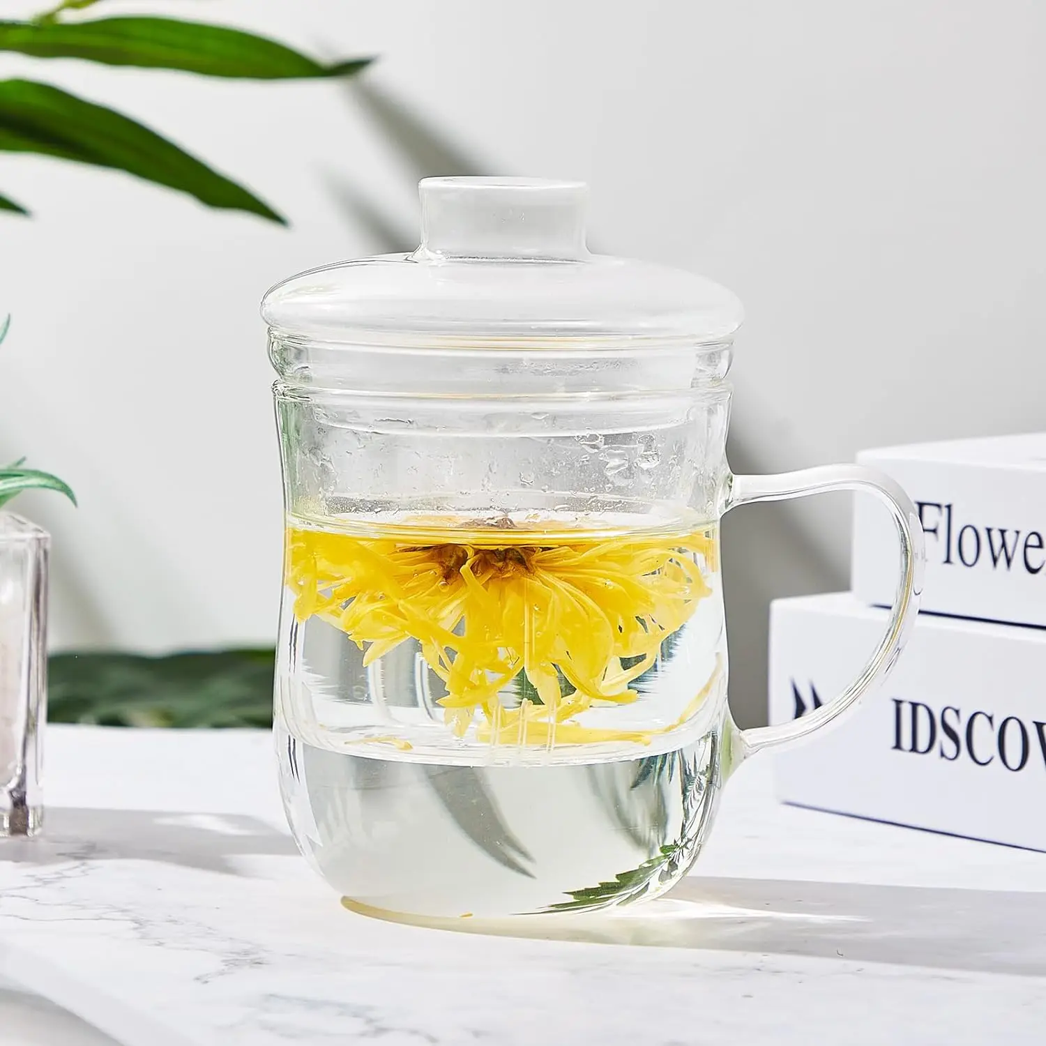 Thickened Transparent Glass Teacup With Infuser And Lid For Loose Leaf ...