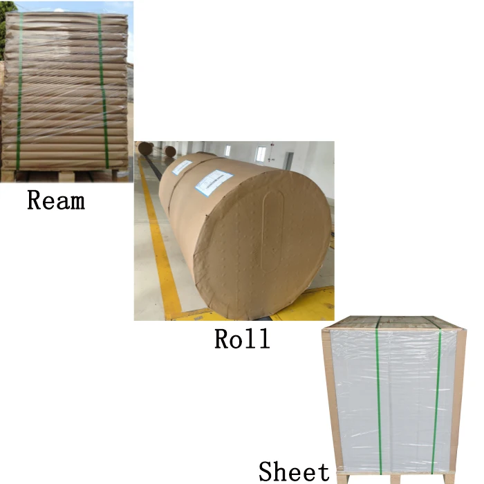 Eco-friendly FBB Paper C1S Ivory White Board for Packing