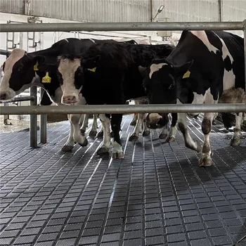 Cow Mat /dairy Cow Rubber Flooring For Sale - Buy Horse Stall Stable ...