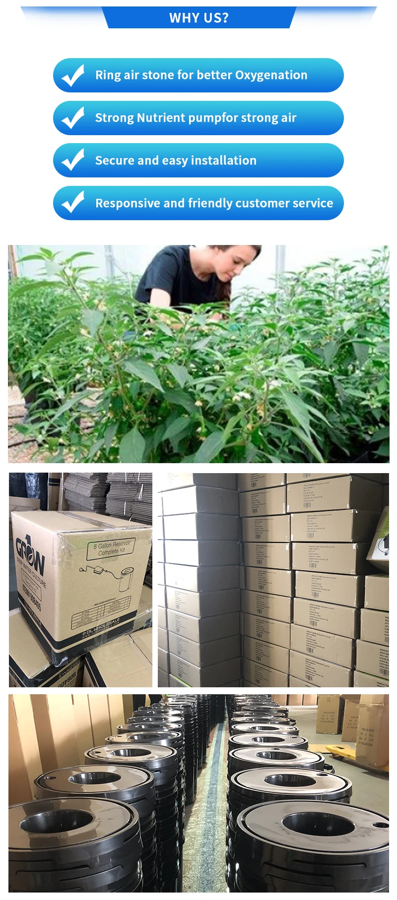 RDWC Hydroponics System with 12 Grow Pots & Water Chiller