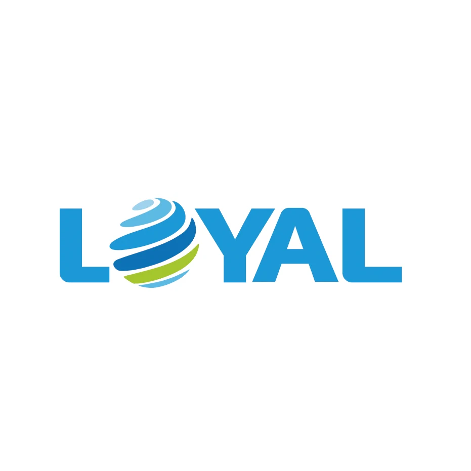 Company Overview - Sichuan HS Loyal Technology Co., Ltd.