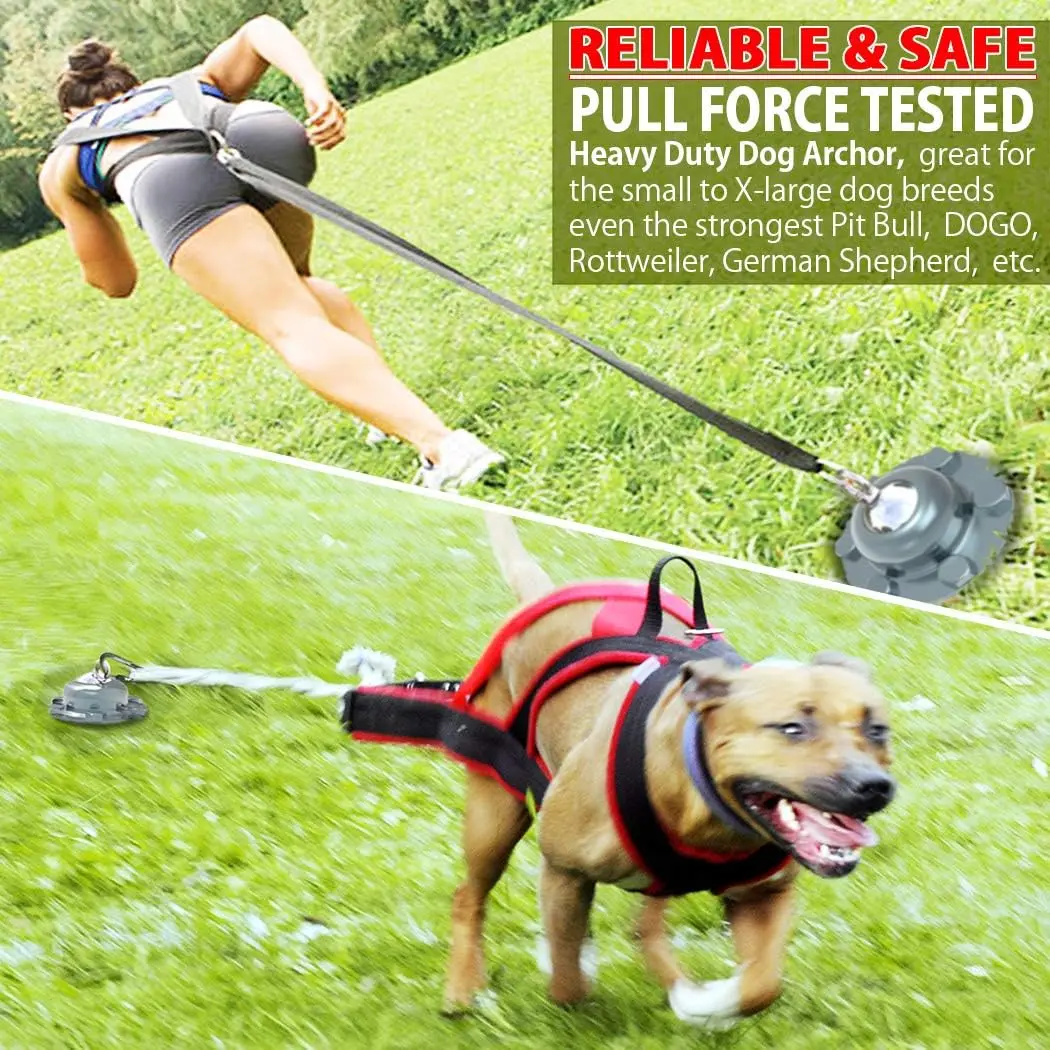 360 Swivel Dog Tie Out Stake Dog Anchor Heavy Duty Pet Yard Stake Rust ...