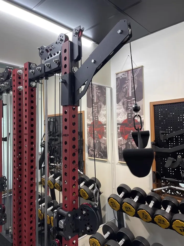 Wall Mount Pulley System for Fitness - Lat Pull down & Low Row Cable ...