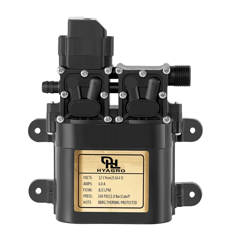 12V DC 4L 4.5L 6L 8L 2202/2203 Double/single High Pressure Brass ...