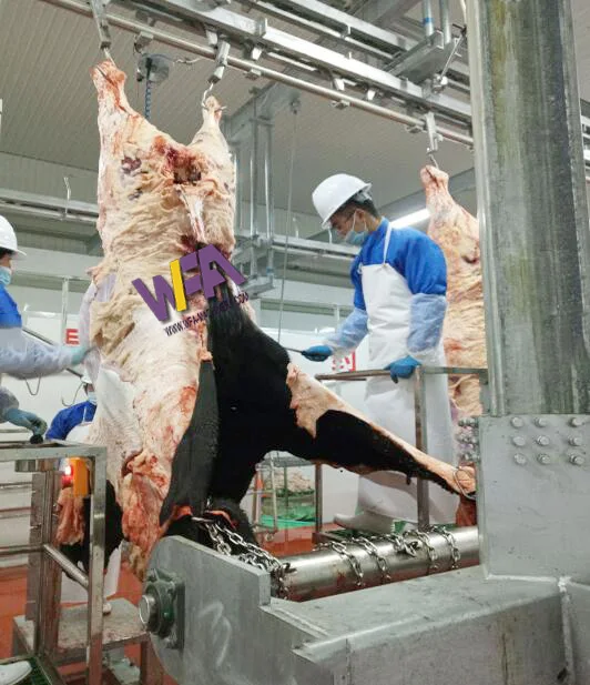 Top Quality Halal Cattle Abattoir Equipment Hand Operated Meat Saw Cow ...