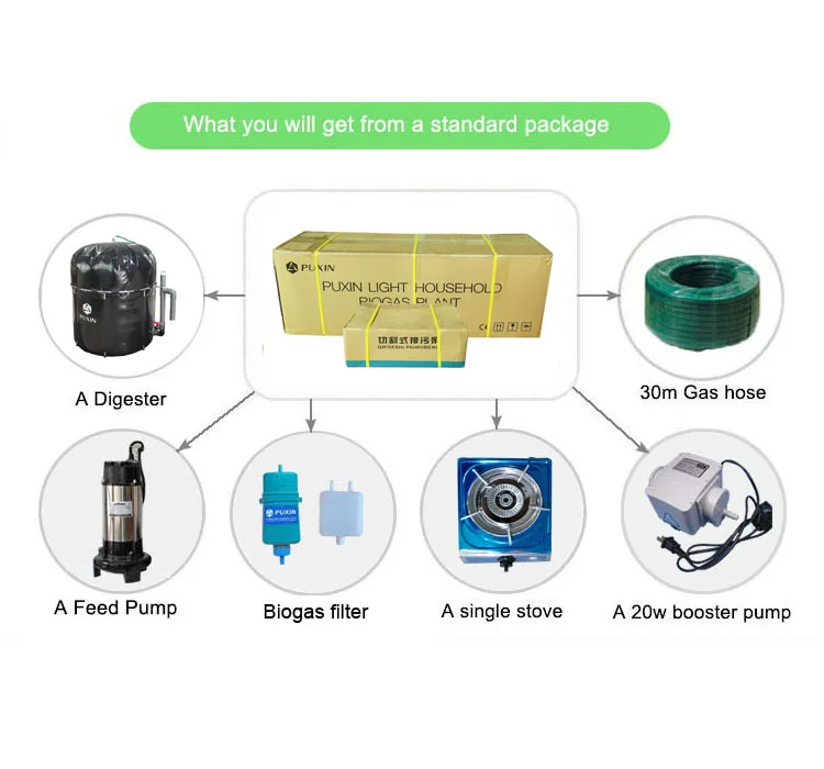 PUXIN Portable Domestic Small Biogas Plant System for Sale
