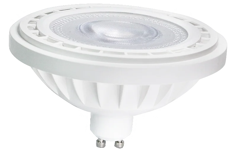 12V R111 LED Lamp - 10W 12V LED Light for Hotels in China