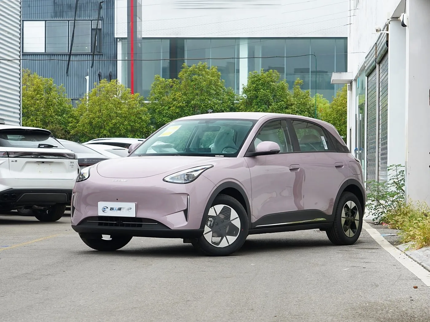 2026 Star Wish 410KM Freedom Version Electric for Family Use 410KM Range and 40.16kWh Battery ...