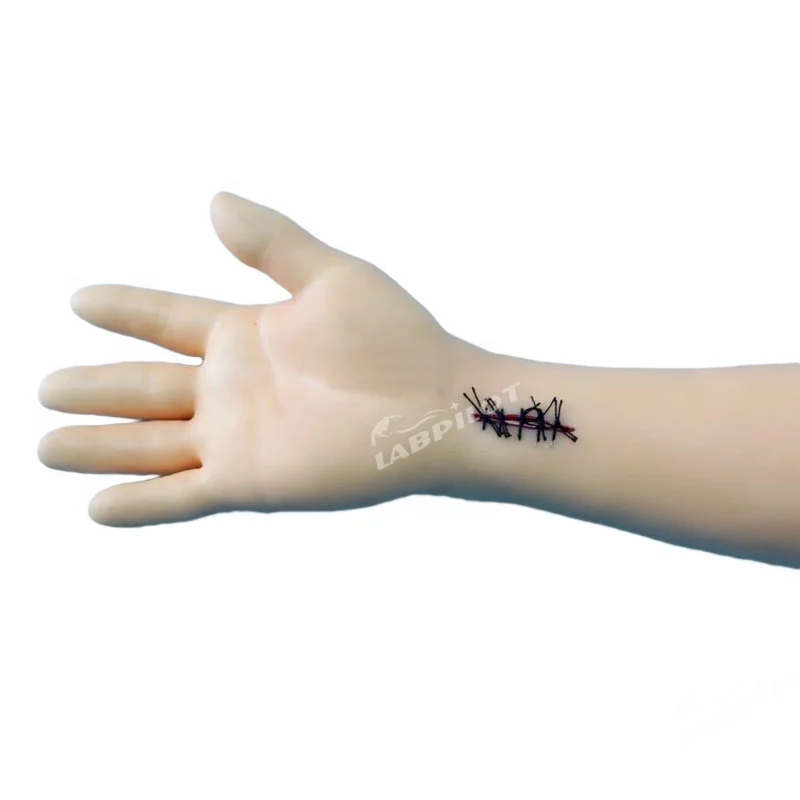 Advanced Surgical Suture Training Arm| Alibaba.com