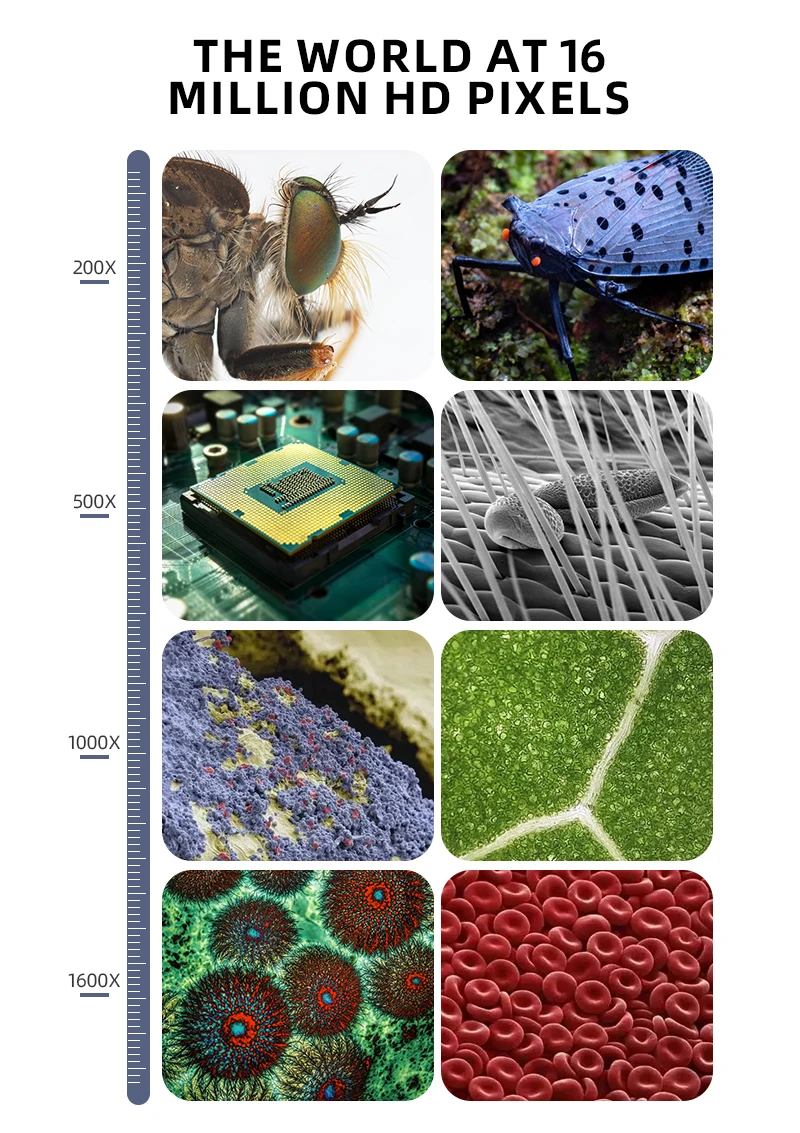 G1600 Digital Microscope 9 12mp 9 Inch Large Base Lcd Display 1-1600x ...