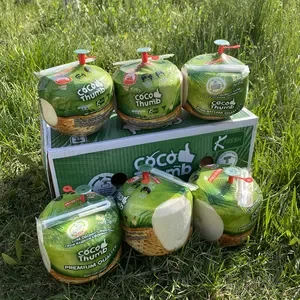 Easy Operation Coconut Opener Tool for Restaurants & Farms - Manual ...