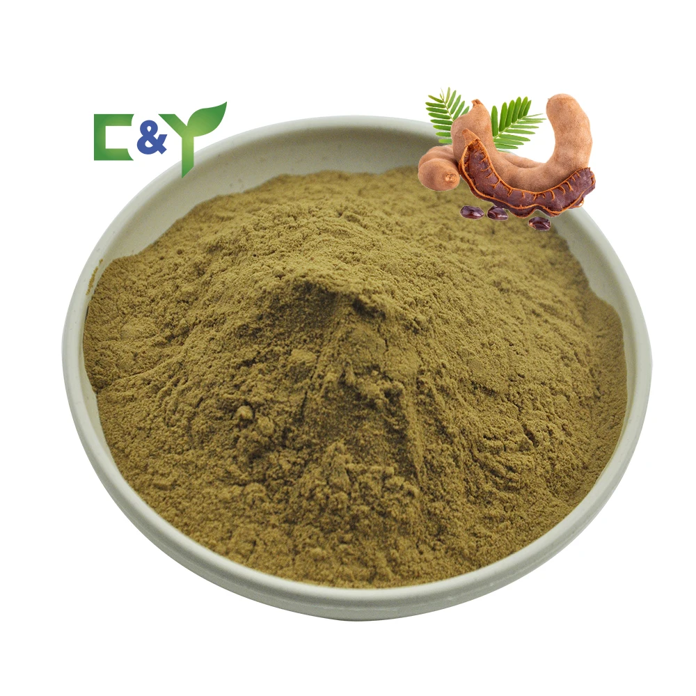 High Quality Tamarind Extract Powder 10:1 Tamarind Seed Extract ...