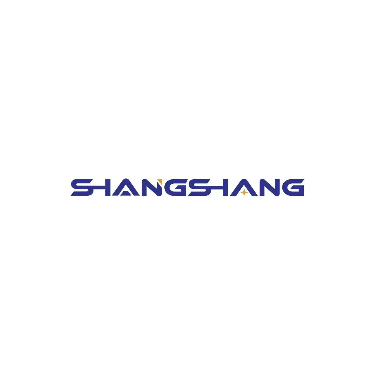 Company Overview - Guangdong Shangshang Technology Co., Ltd.