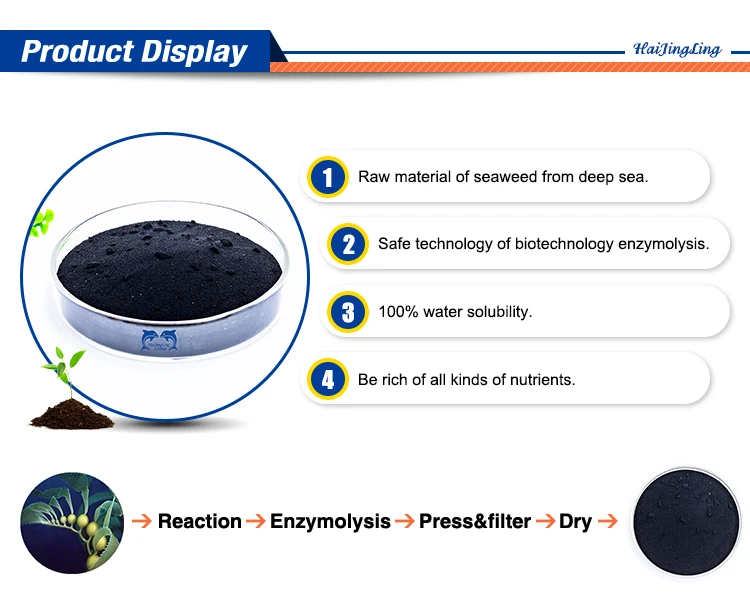 Humic Acid Seaweed Biofertilizer - Promotes Plant Growth