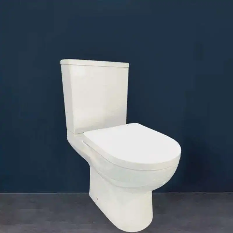 Custom Washroom Tualetas Inodoros Modernos Dual Flush Rimless Sanitary ...