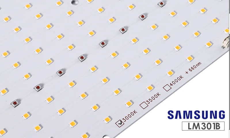 Samsung LM301H LED Grow Lights - Efficient Indoor Hydroponics