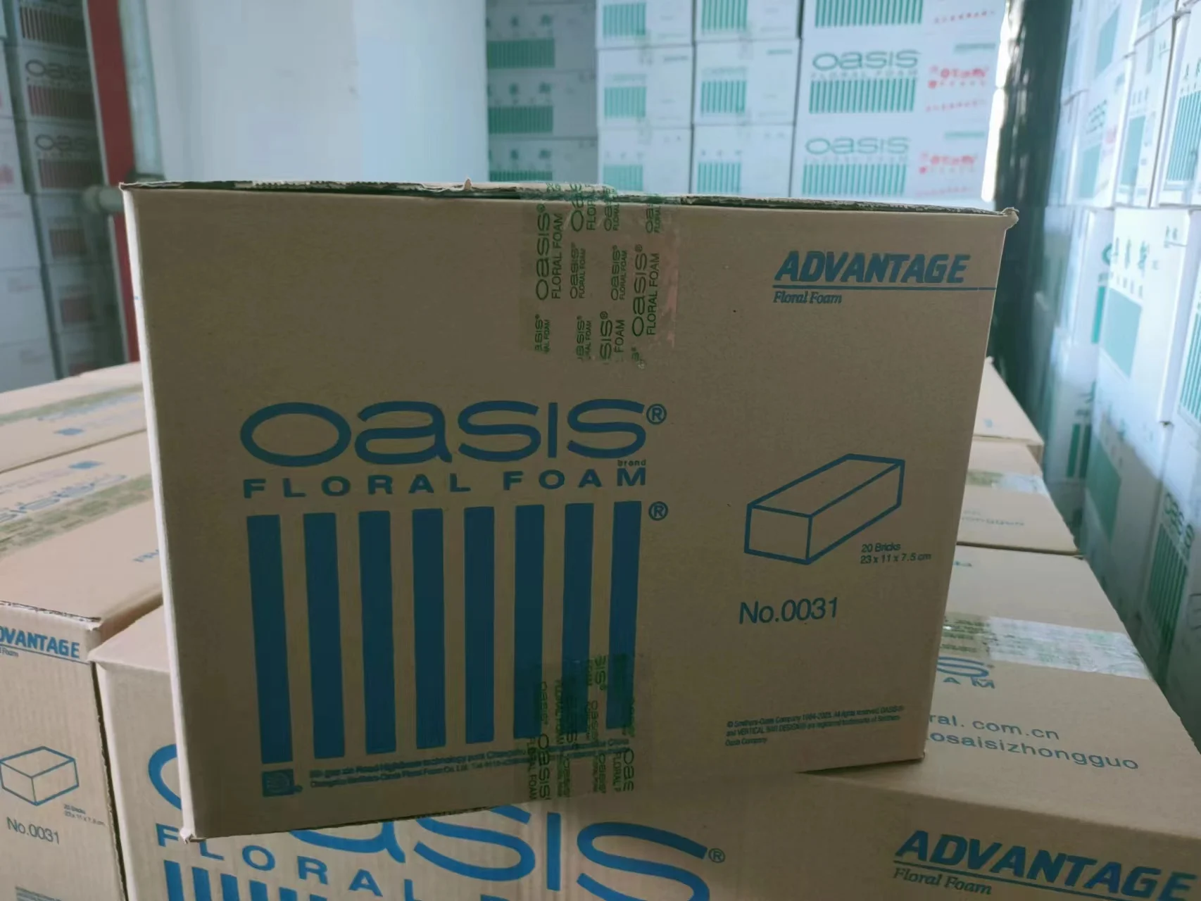 Oasis Floral Foam - Professional Flower Arranging Solutions