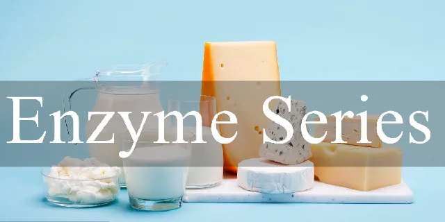 Beta-mannanase 30,000 U/g - Efficient Food Additive Enzyme