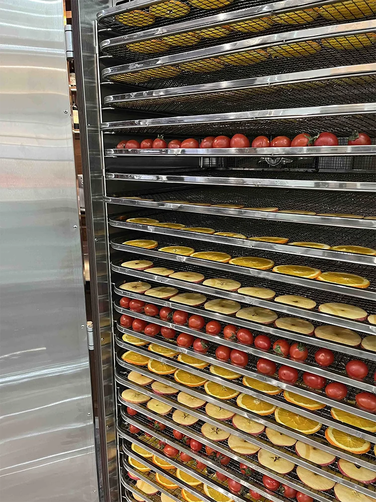 Digital Control Panel Dehydrating Temperature Guidance Dehydrating ...