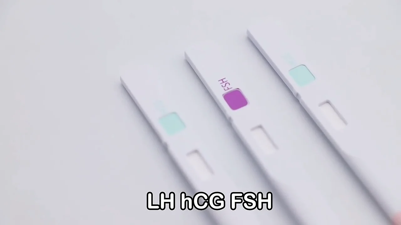 Sejoy Hcg Midstream Digital Pregnancy Test Ovulation Test Kit - Buy ...