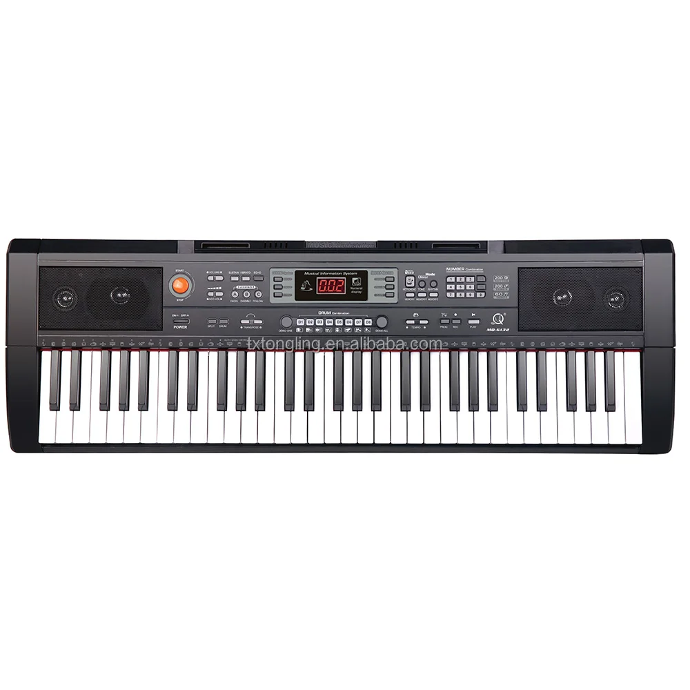 61 Keys Professional Electric Keyboard Piano - Versatile Organ ...