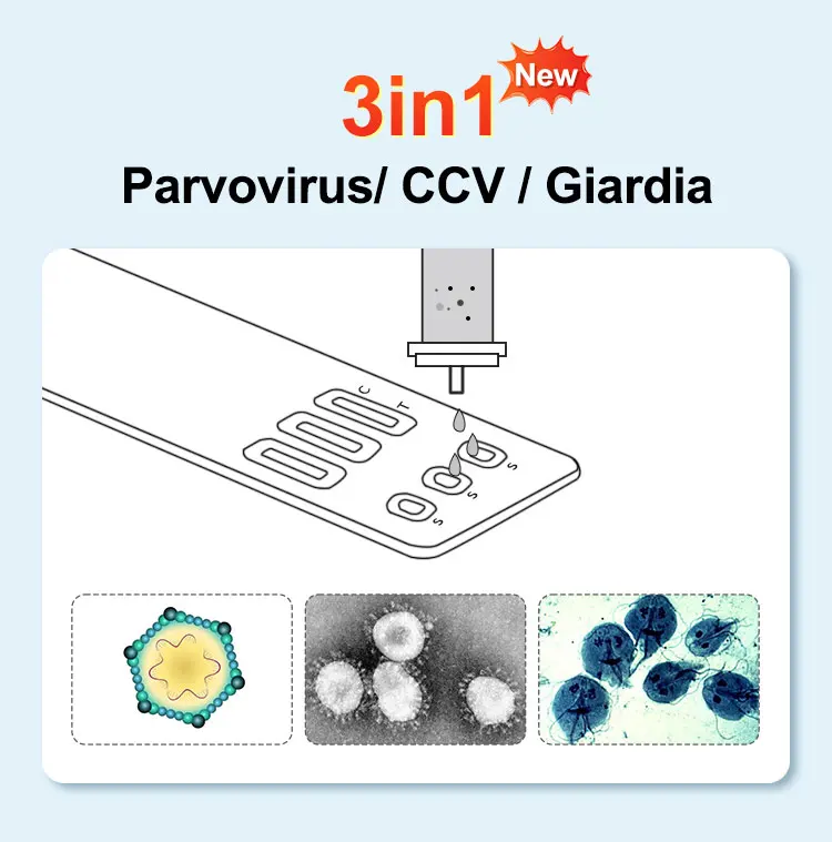 Veterinary Triple Test Kit For Dog Disease Cpv Ccv Giardia Ag Detection ...