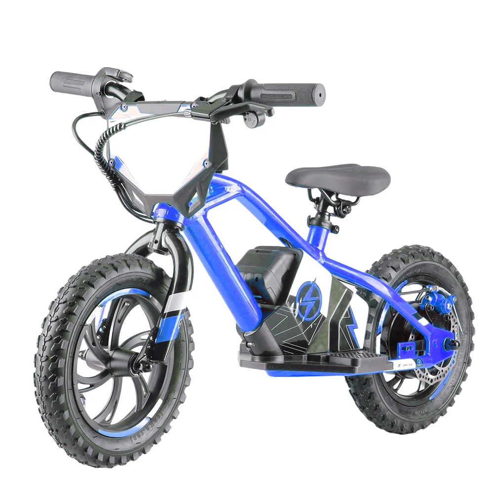 2 Wheel Children Electric Balance Bike Smart Hot Sale 36V 250W self ...