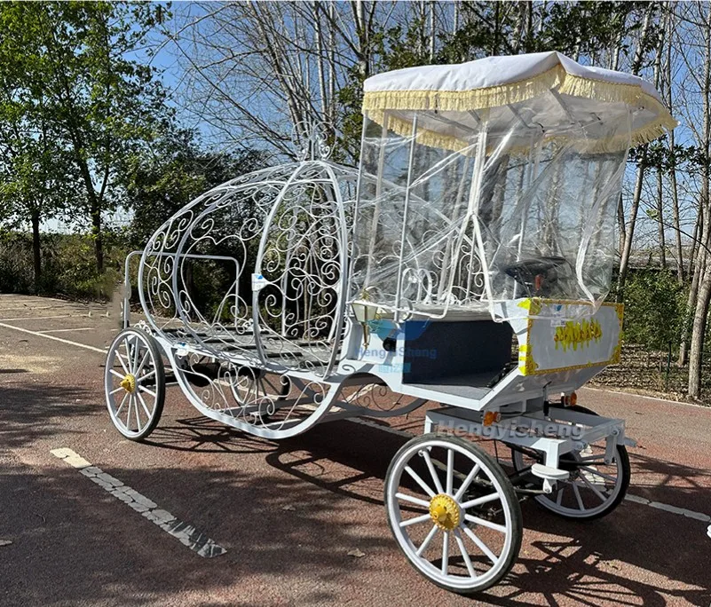 Traditional Cinderella Hearse Carriage Holy Funeral Hearse Builder the ...