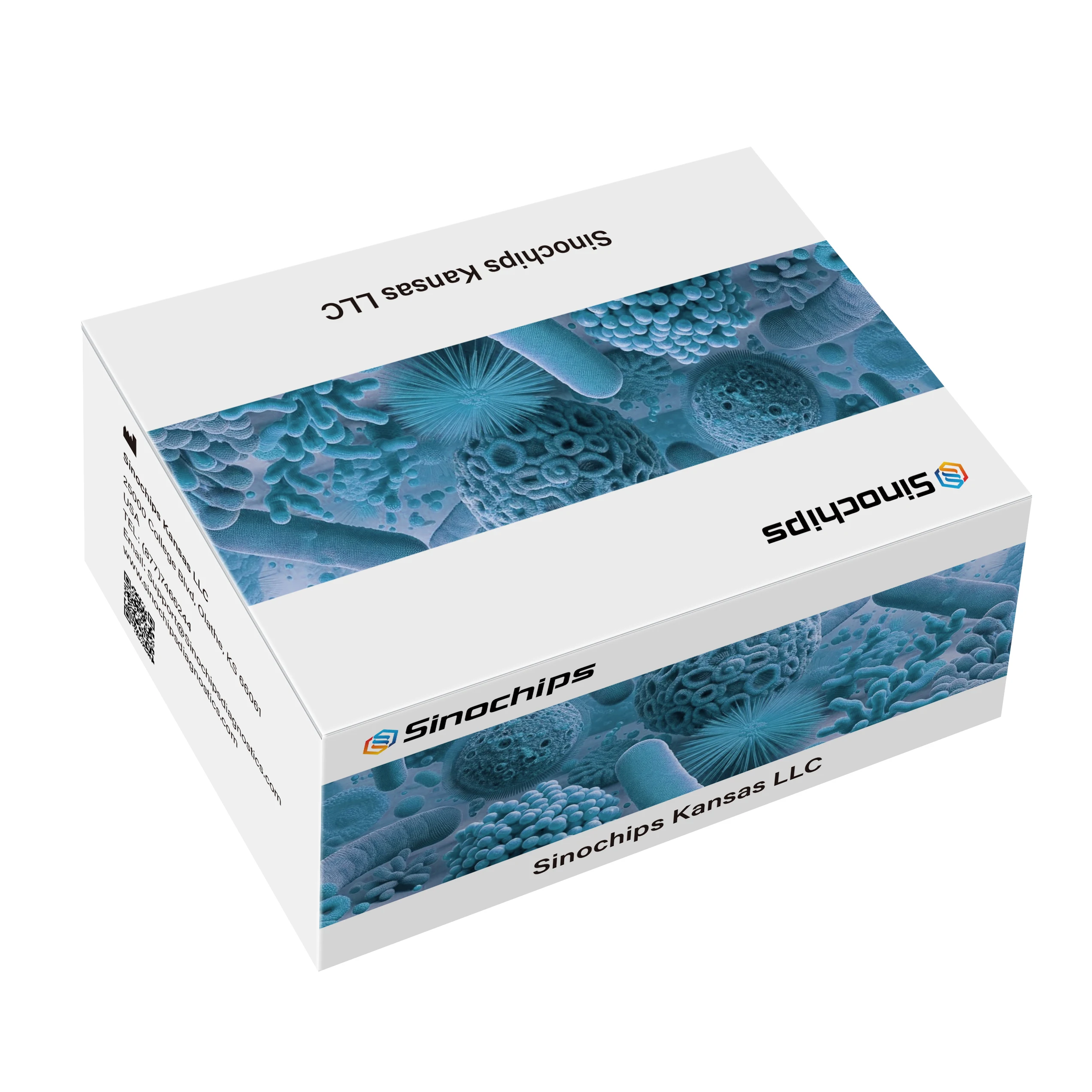 Human papillomavirus (HPV) Panel, 96 well, 0.1 ml format, 12 tests ...