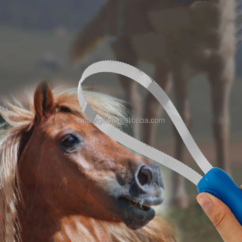 Stainless Steel Horse Sweat Scraper - Sustainable & Durable