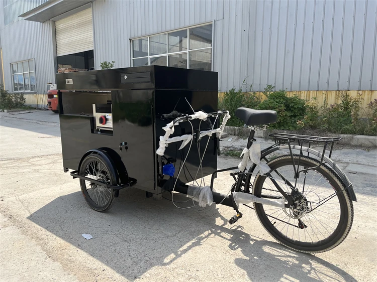 Alibaba.com: Customized 3-in-1 electric cargo bike with fridge, coffee ...