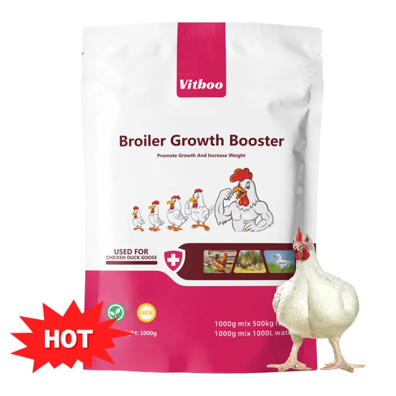 Broiler Chicken Growth Booster Vitamins Premix Powder for Healthy ...