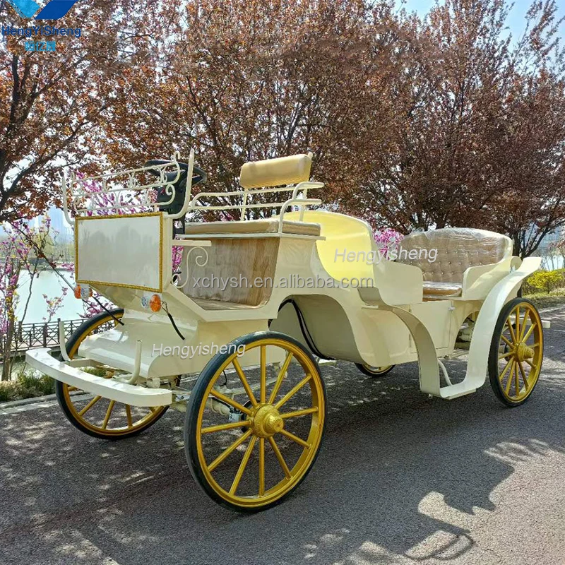 Fashion Sightseeing Horse Carriage With Canopy Retro Sightseeing ...