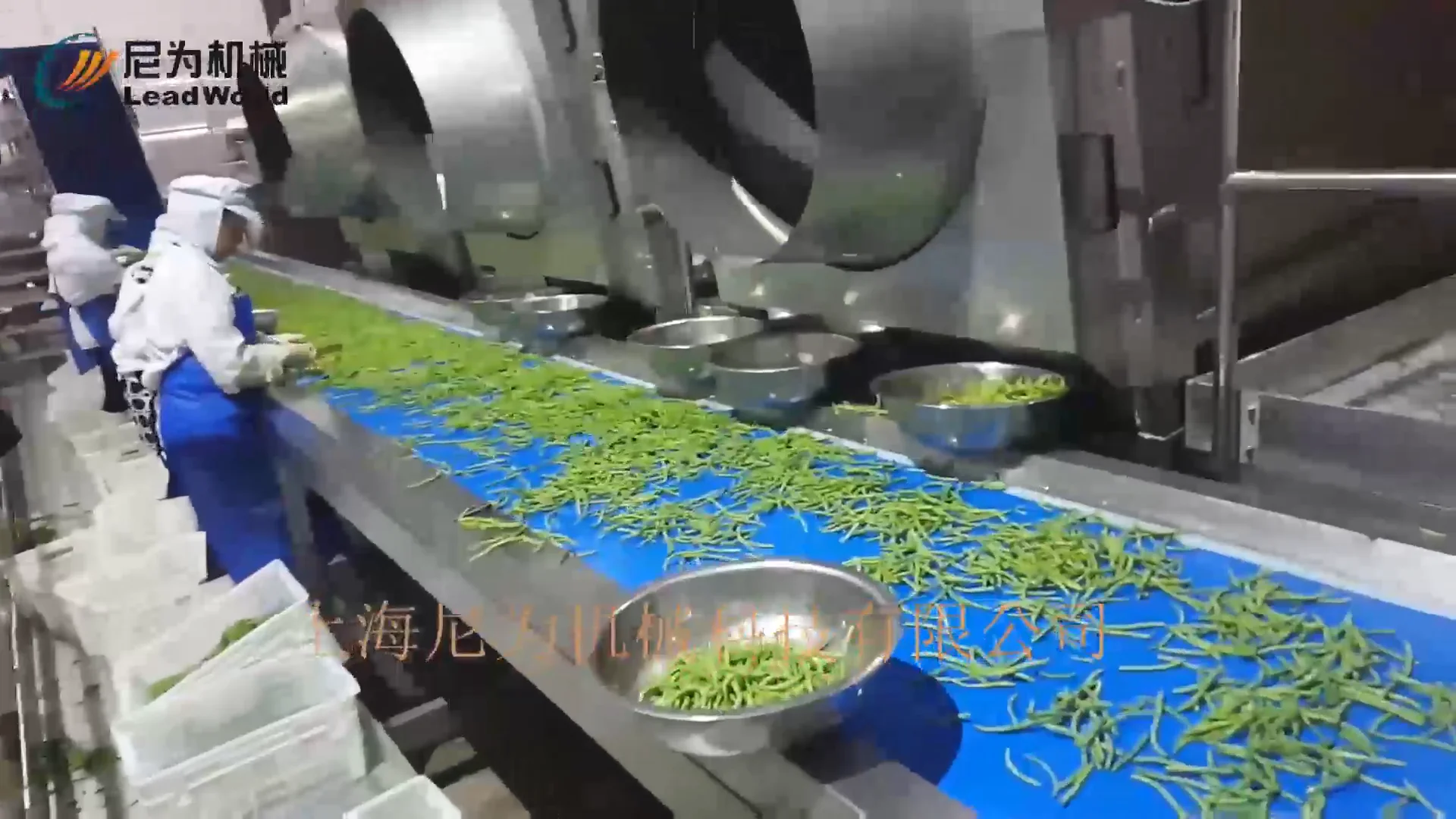 Pvc Pu Belt Conveyor Food Seafood Transmission Packaging Belt Conveyor ...
